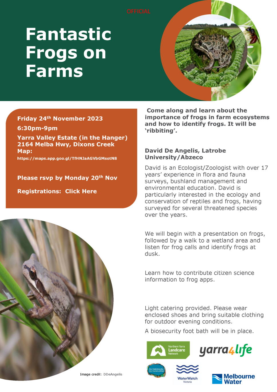 Fantastic Frogs on Farms